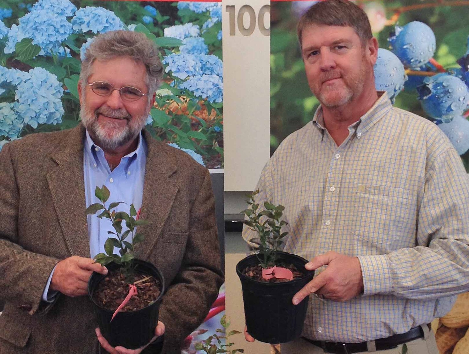 New blueberry cultivar named for Georgia blueberry pioneer Gerard ...